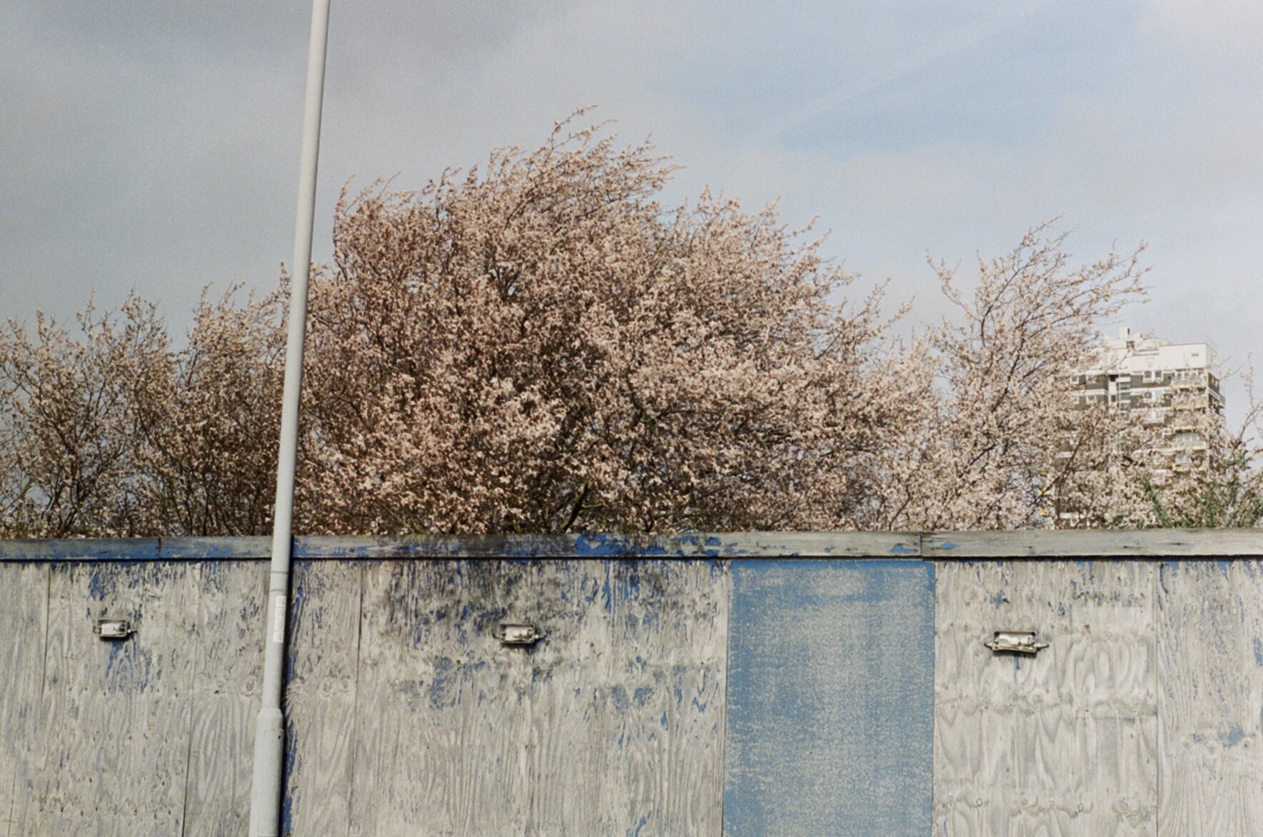 Sam Easterby-Smith (@sam@togl.me) - togl.me