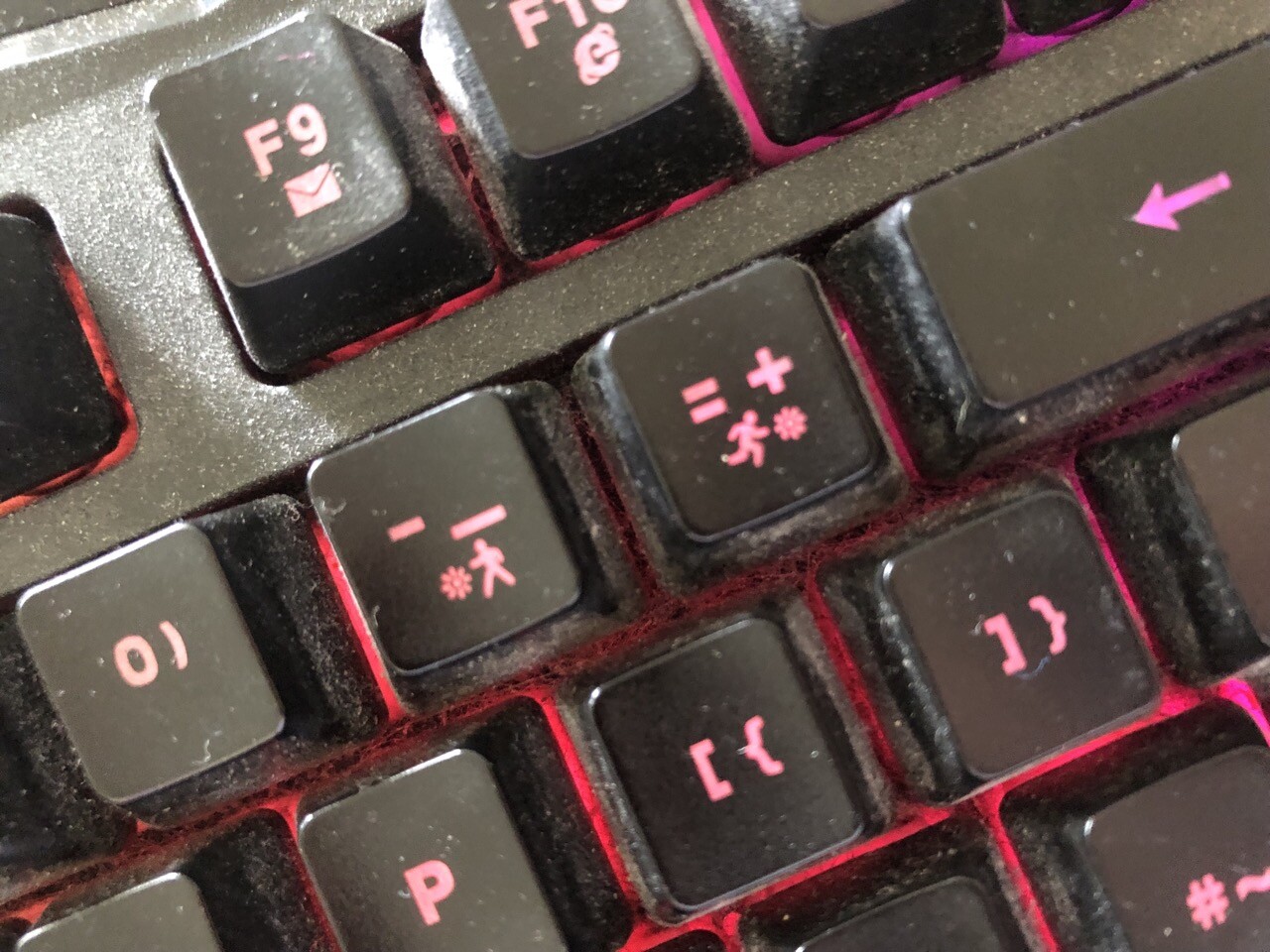 rose (@rosefromthedead@tech.lgbt) - LGBTQIA+ and Tech