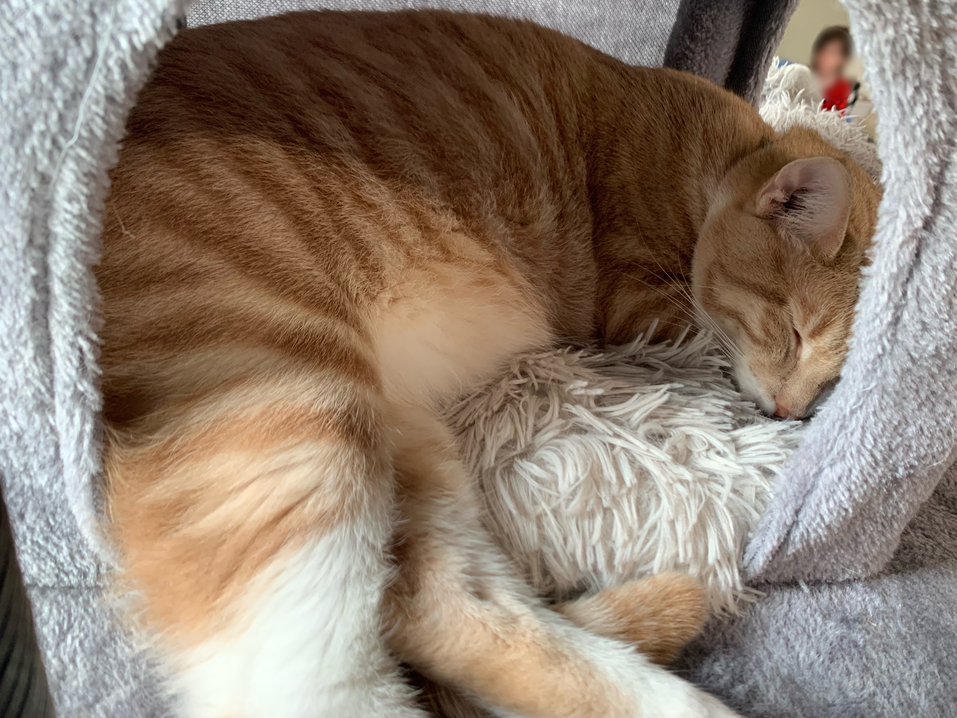 The ADHDM :omya_office365: (@TheADHDM@tech.lgbt) - LGBTQIA+ and Tech