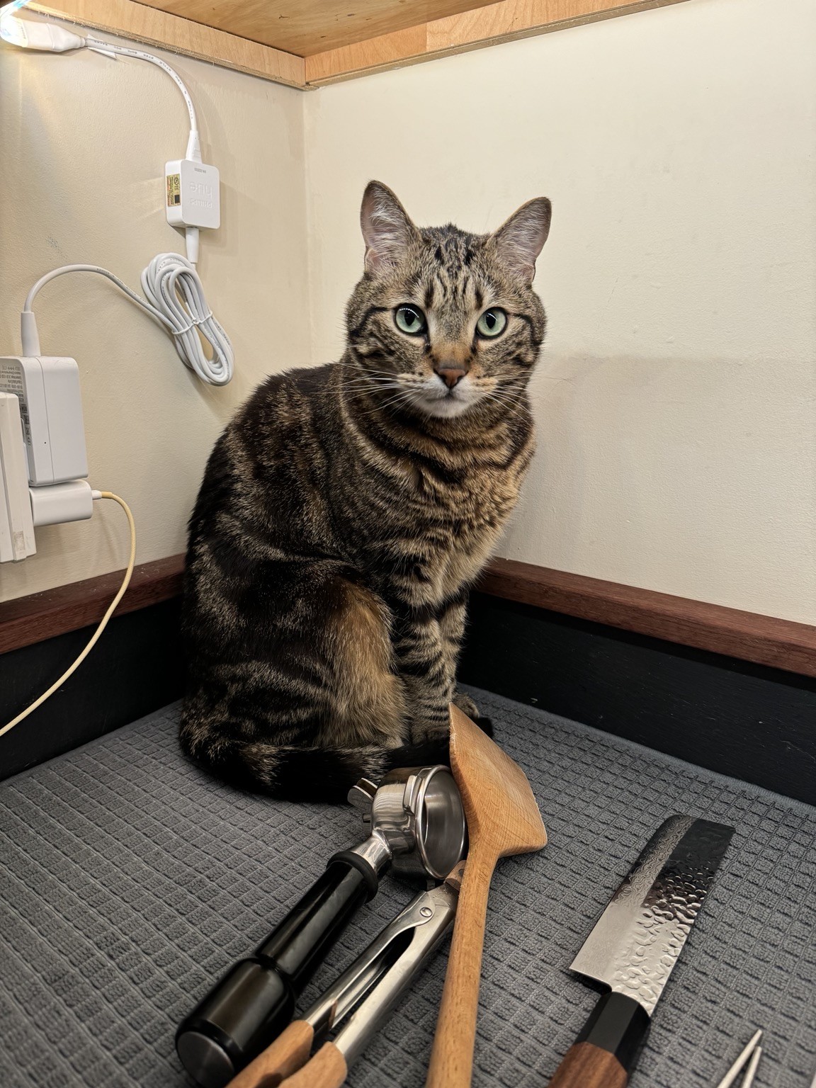 Thure (@thure@tech.lgbt) - LGBTQIA+ and Tech