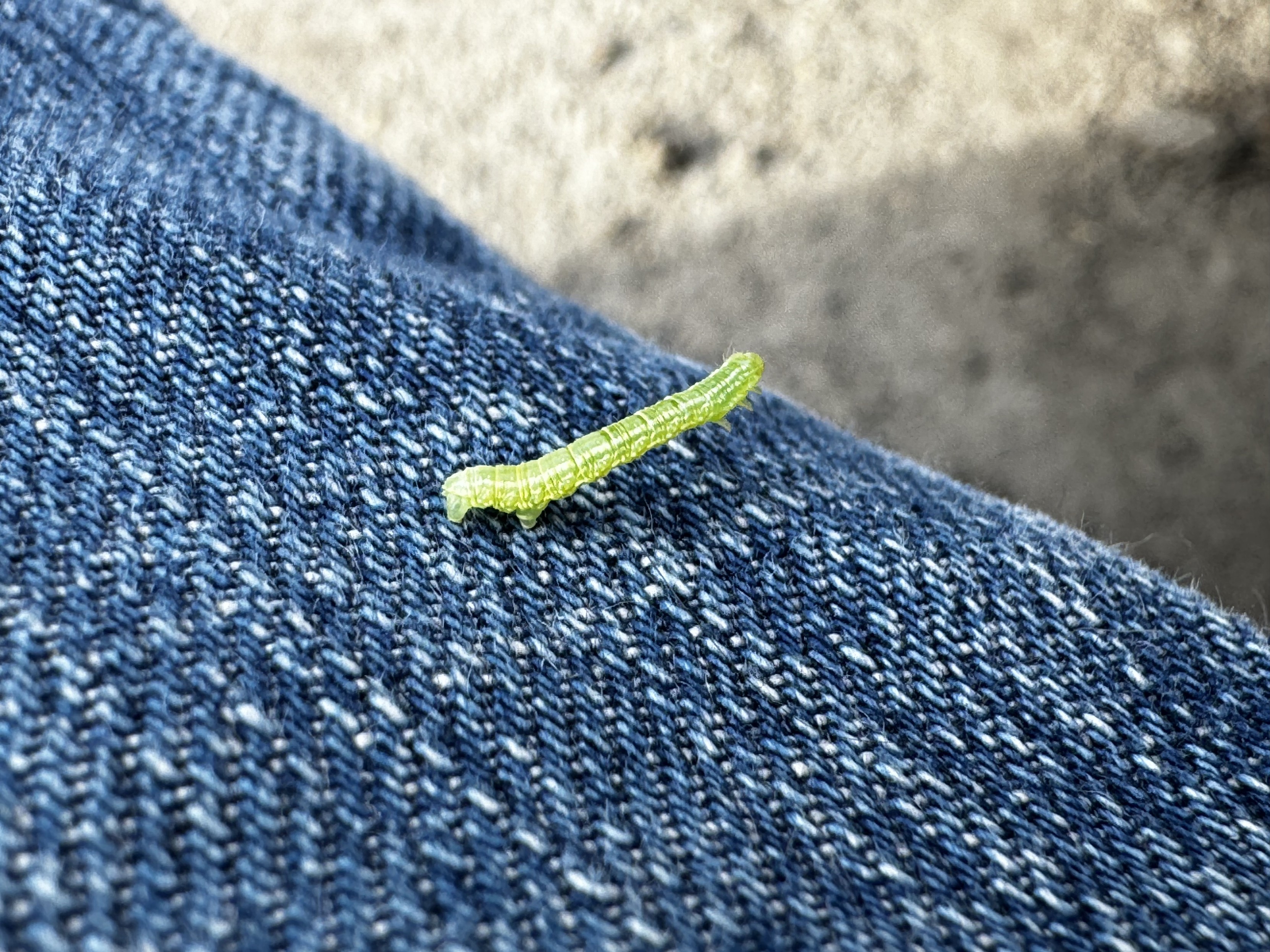 TJ :flag_bisexual: (@tj@tech.lgbt) - LGBTQIA+ and Tech